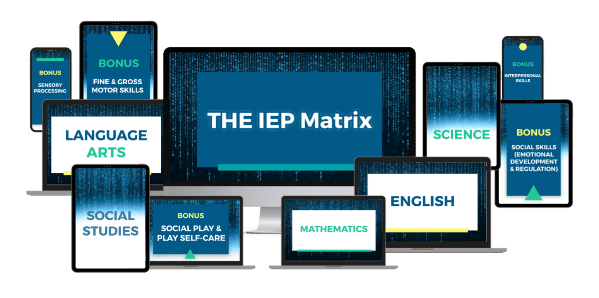 The IEP Matrix - The Intentional IEP