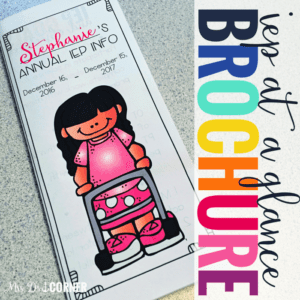 IEP Caseload Binder for Special Ed - Bundle of 18 Themes - The ...