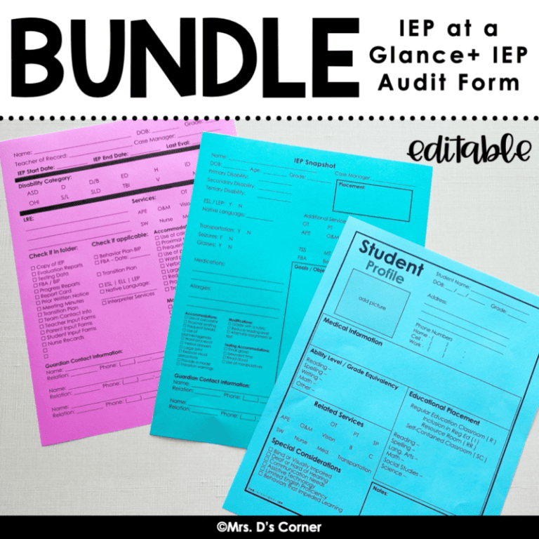 Bundle of Editable IEP Snapshot + Editable IEP Audit Form - The ...