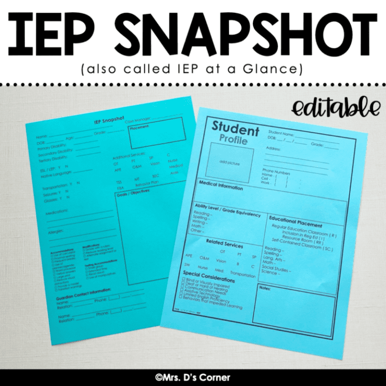 IEP Snapshot - EDITABLE | IEP at a Glance | IEP Data Sheet - The ...