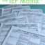 1 IEP Matrix™ | for Birth to 6th Grade Skills - The Intentional IEP