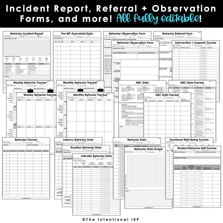 Editable Behavior Intervention Plan (BIP) at a Glance | BIP Snapshot ...
