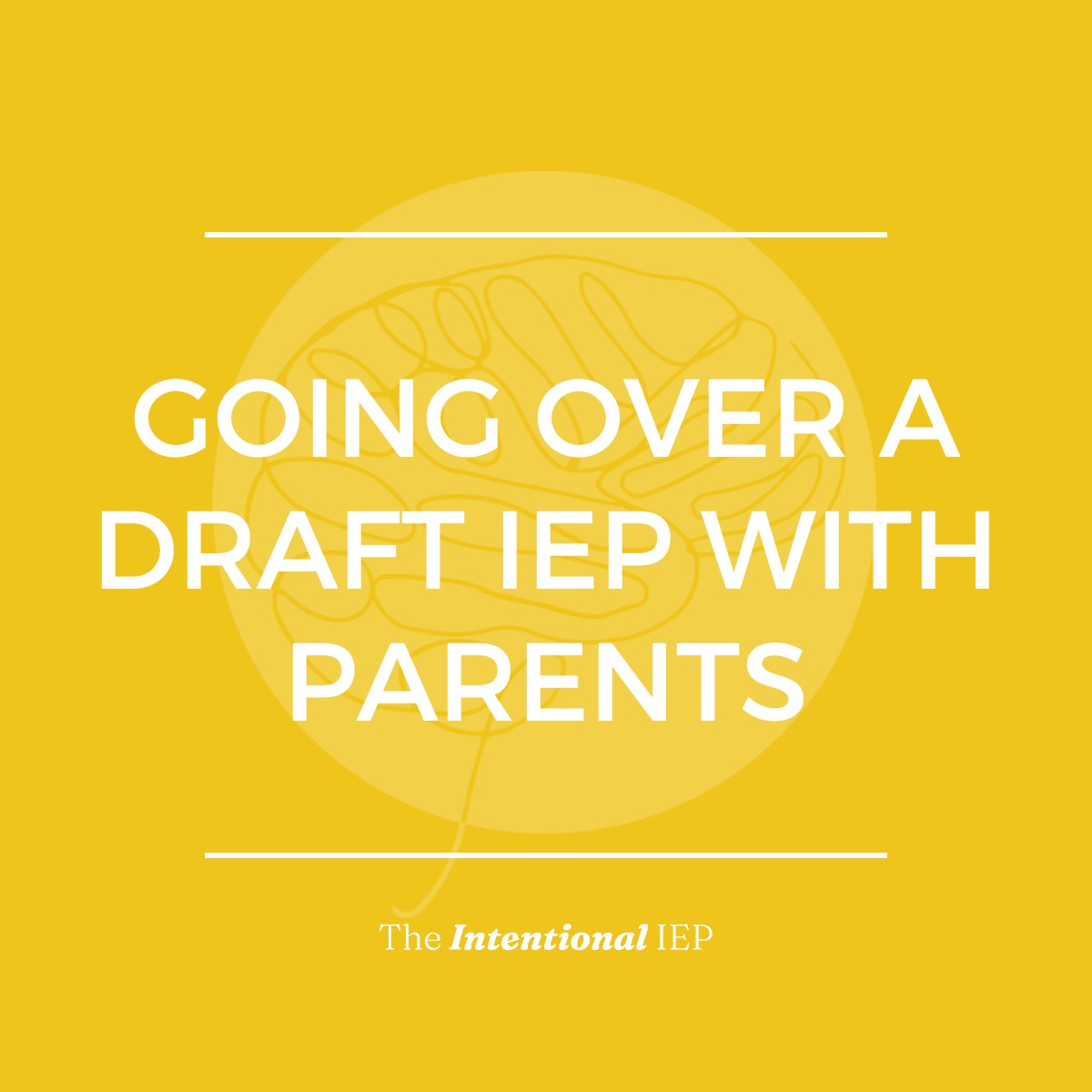 Going Over a Draft IEP with Parents - The Intentional IEP