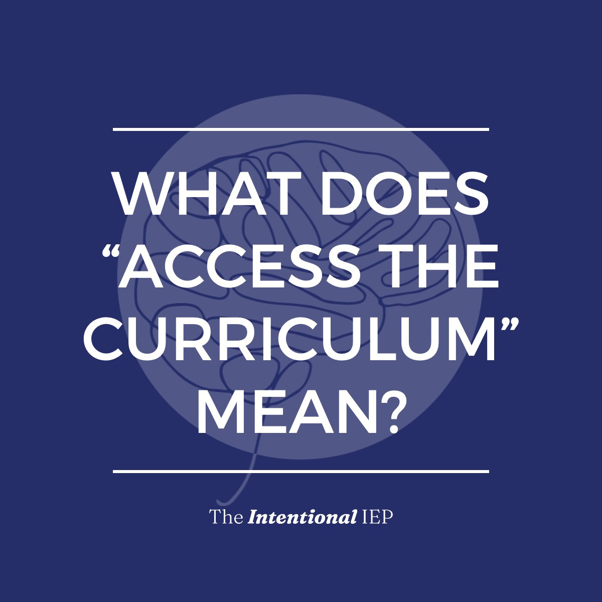 What Does Access to the Curriculum Mean? - The Intentional IEP