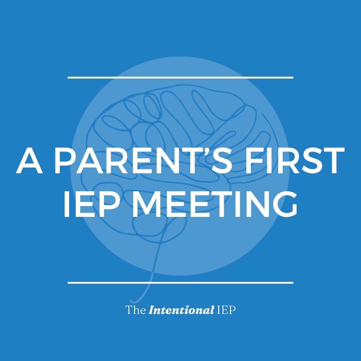 A Parent's First IEP Meeting - The Intentional IEP