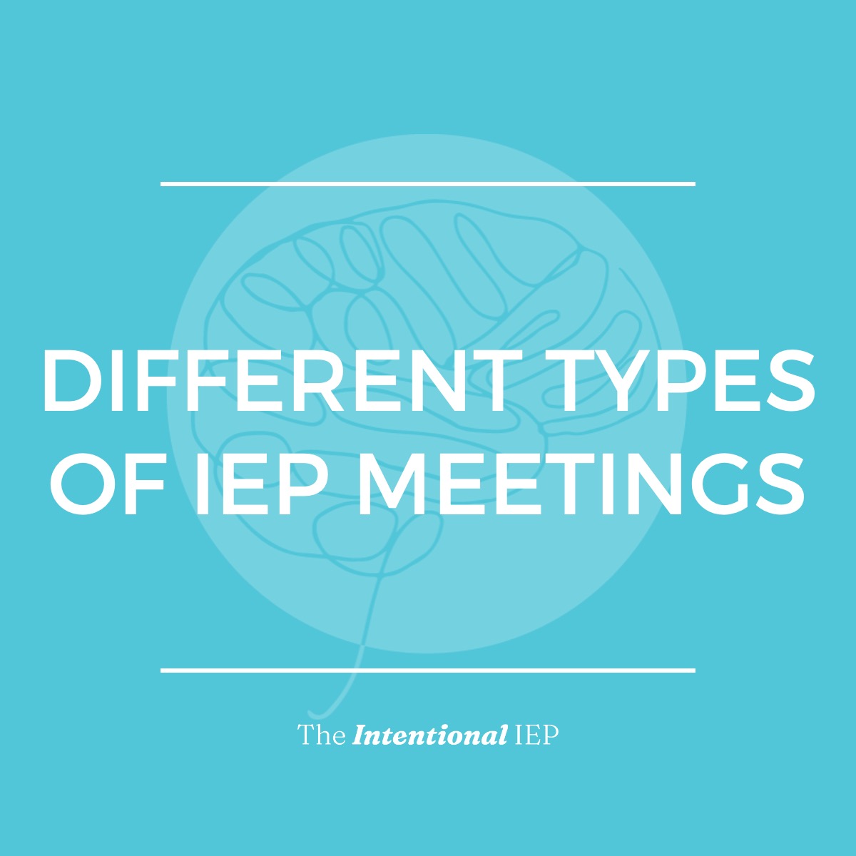 Different Types of IEP Meetings - The Intentional IEP