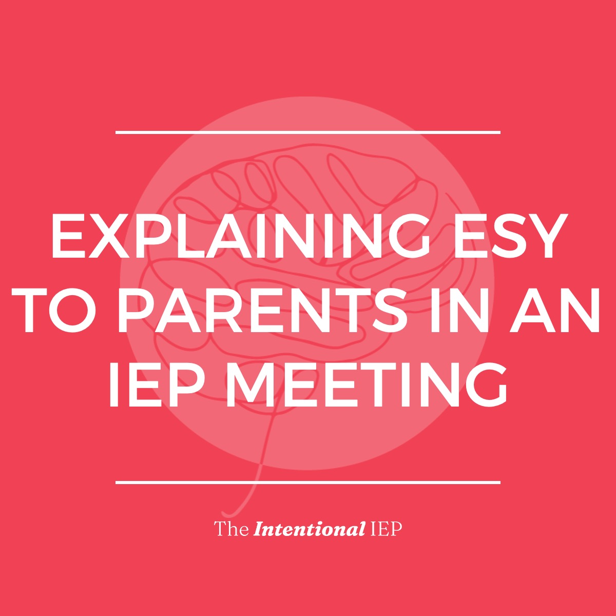 Explaining ESY to Parents in an IEP Meeting - The Intentional IEP