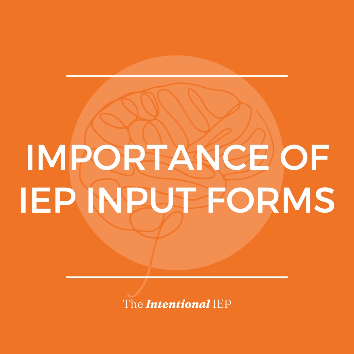 The Importance of IEP Input Forms - The Intentional IEP