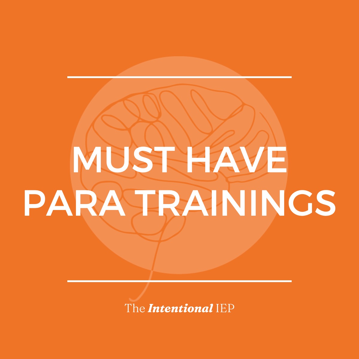 Must-Have Para Trainings - The Intentional IEP