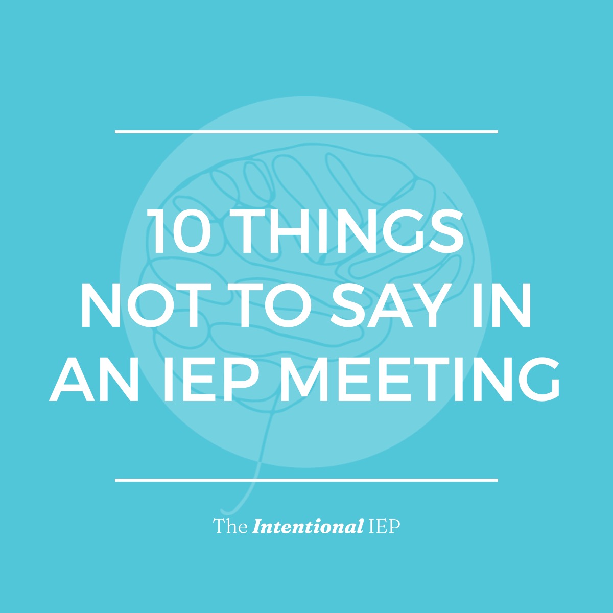 19 Things Not to Say in an IEP Meeting - The Intentional IEP