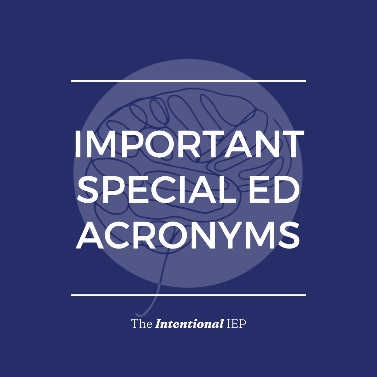 Important Special Ed Acronyms All IEP Team Members Should Know - The ...