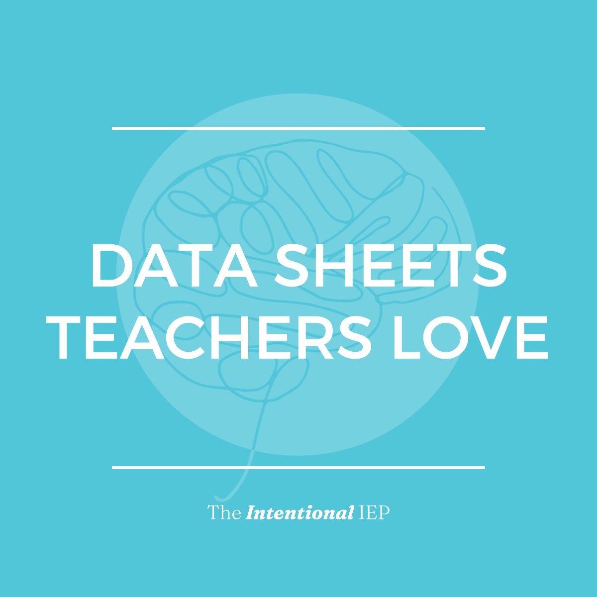 IEP Data Sheets Special Education Teachers Love - The Intentional IEP