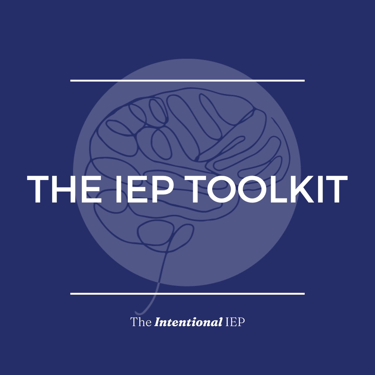 IEP Toolkit - The Intentional IEP