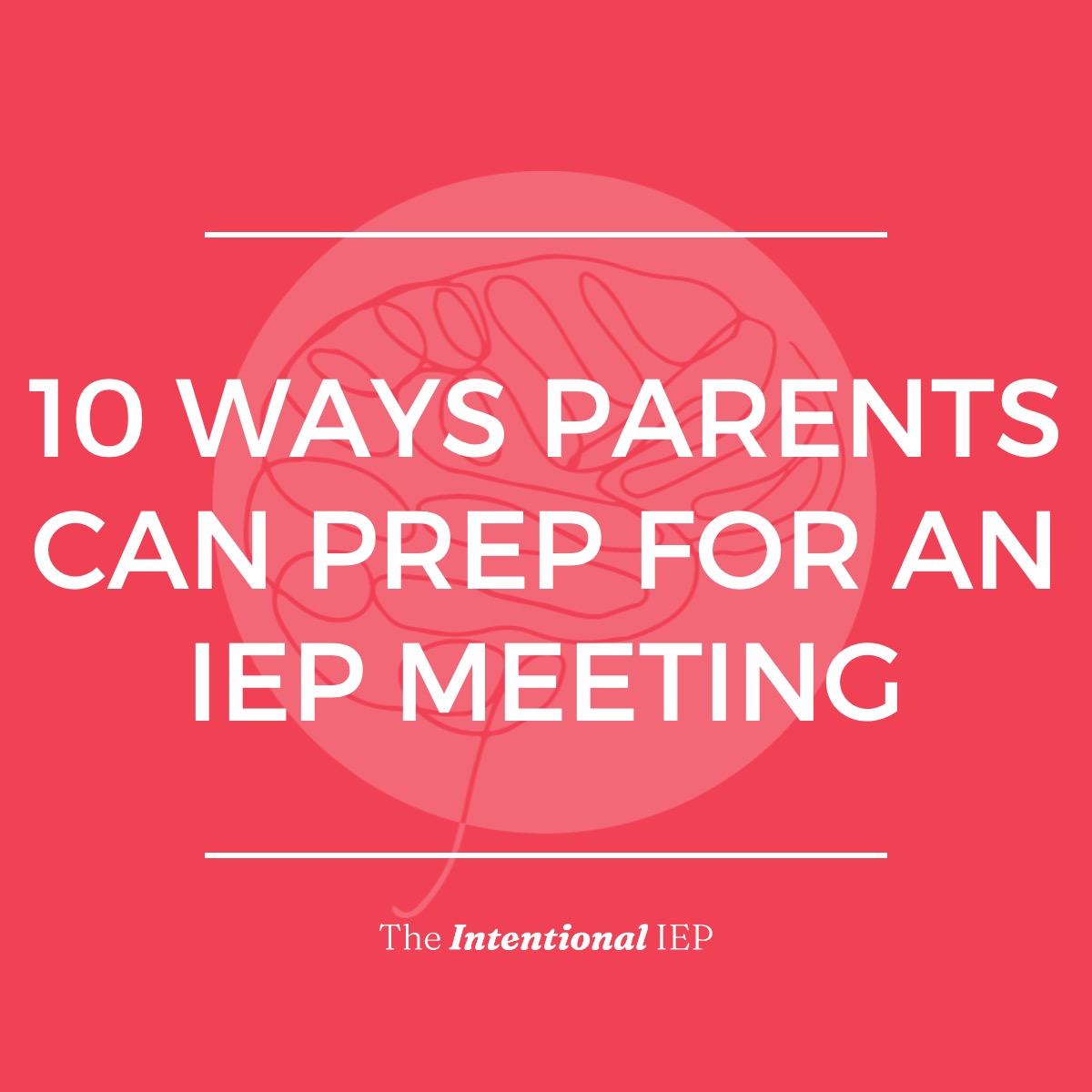 10+ Ways Parents Can Prep for an IEP Meeting - The Intentional IEP