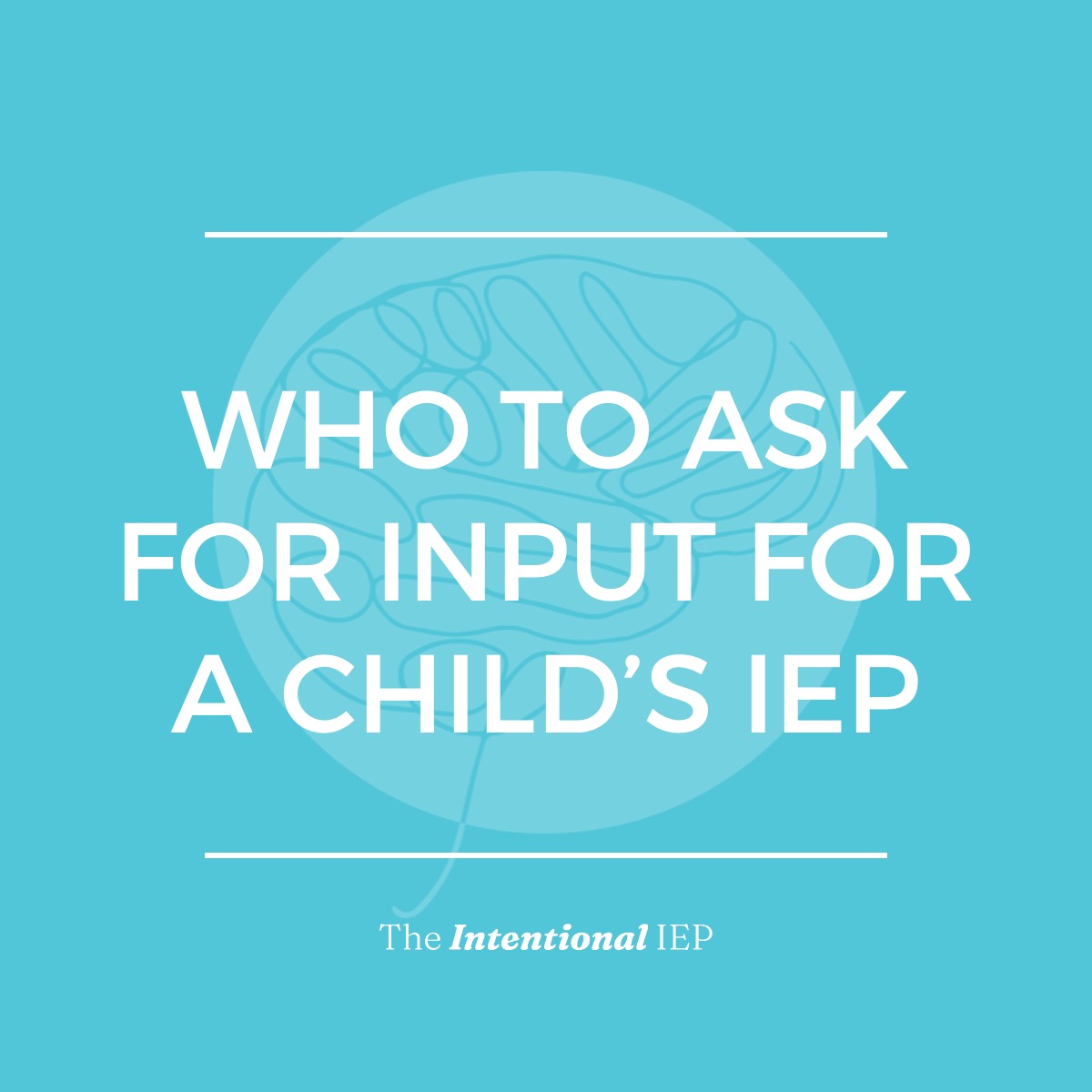 Who to Ask for Input for a Child's IEP | The Intentional IEP