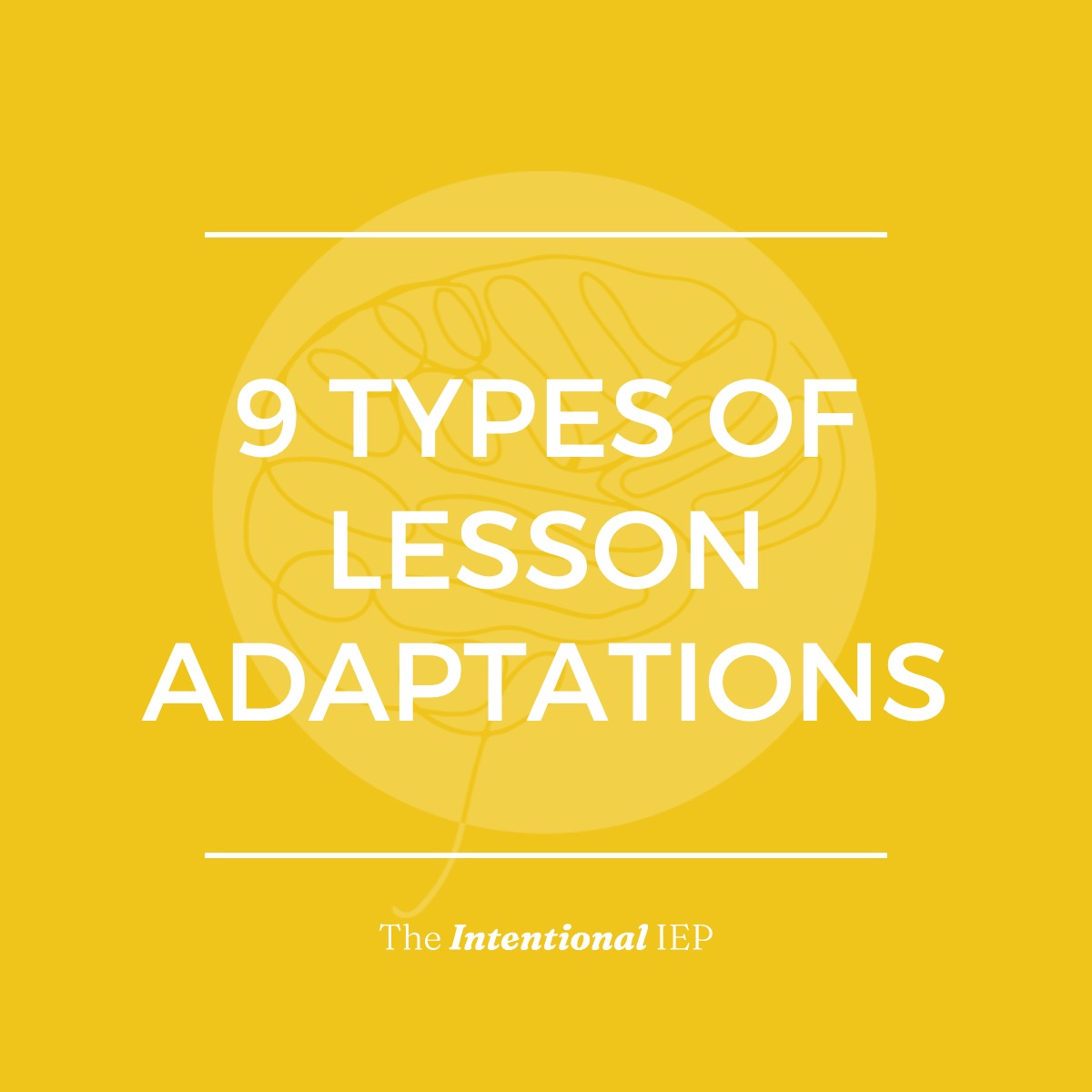 9 Types of Adaptations | The Intentional IEP