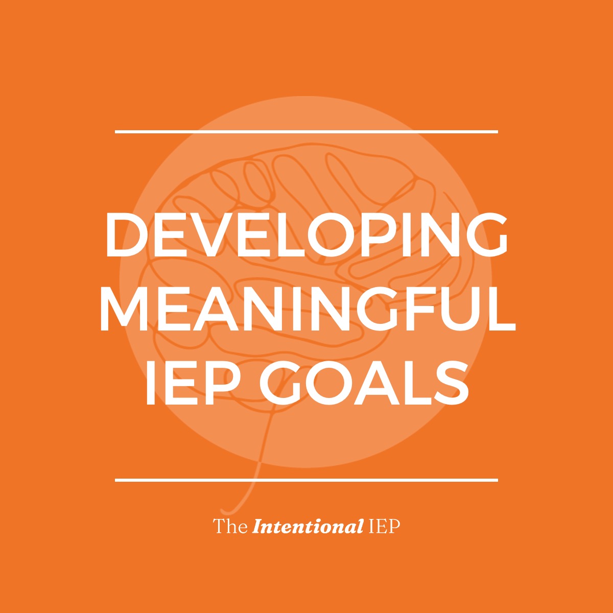 How to Develop Meaningful IEP Goals - The Intentional IEP
