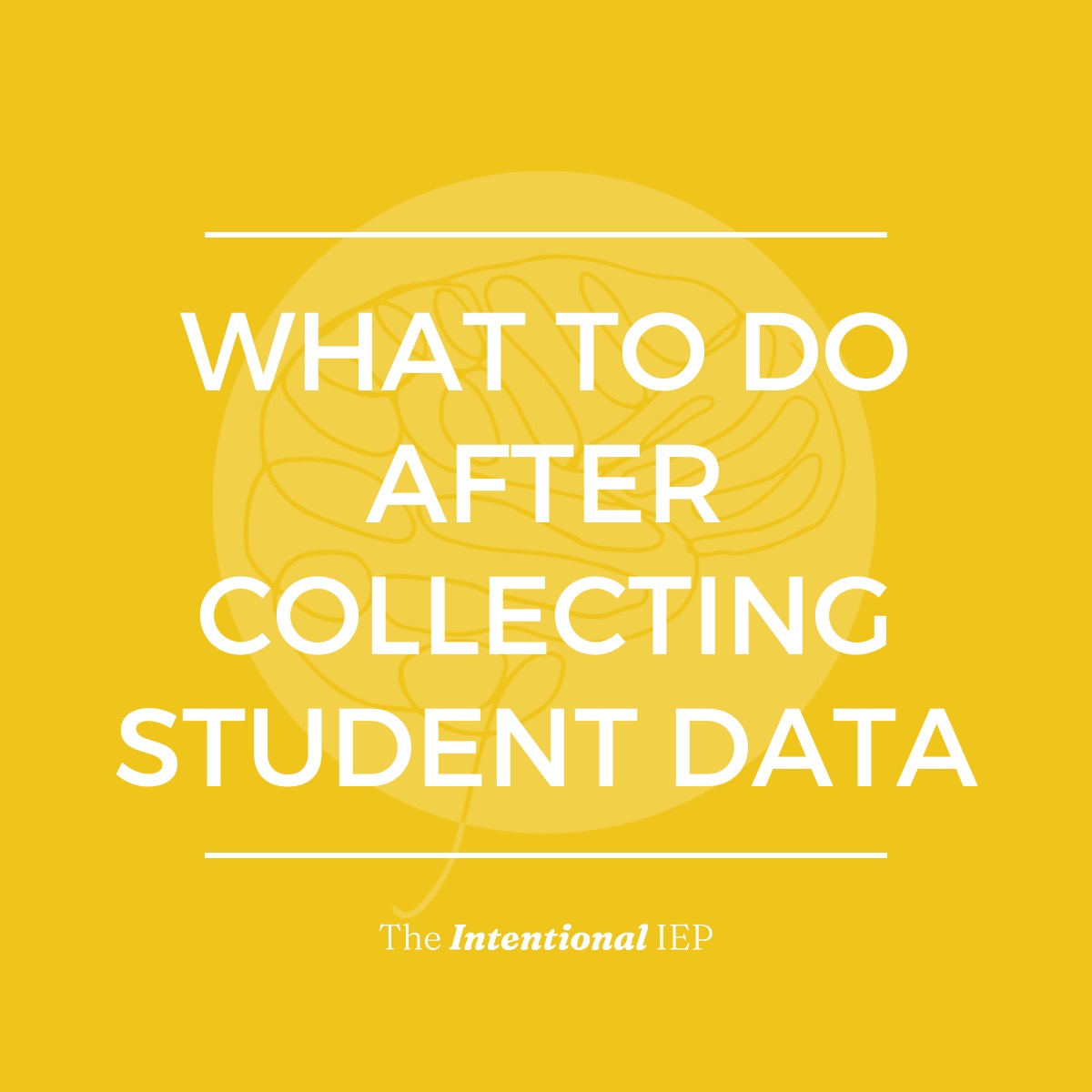 What to Do After Collecting Student Data - The Intentional IEP