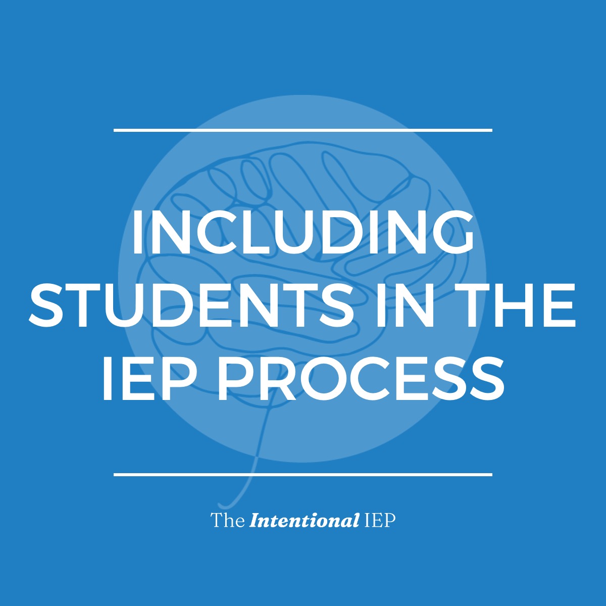 Including Students in the IEP Process - The Intentional IEP