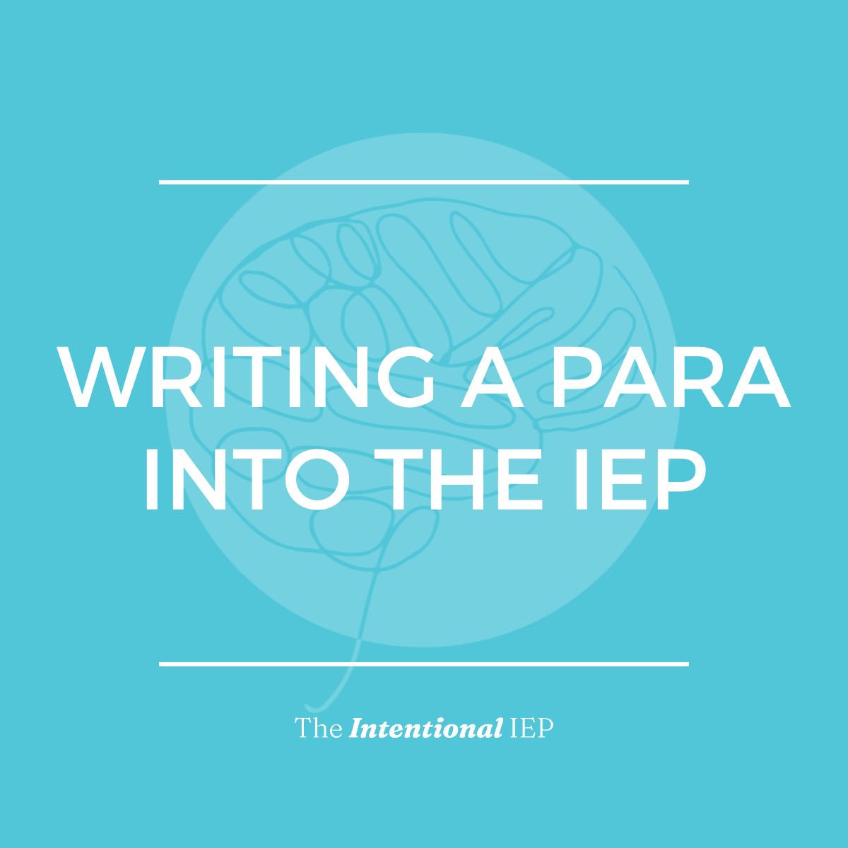 Writing a 1:1 Support Para into an IEP - The Intentional IEP