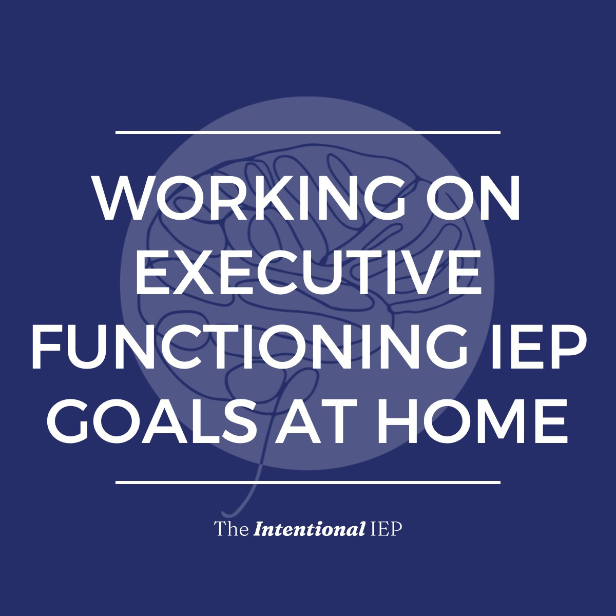 Ideas for Working on Executive Functioning IEP Goals at Home - The ...