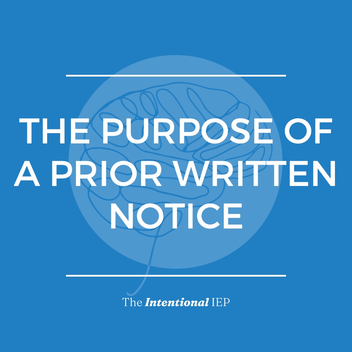 The Purpose of a Prior Written Notice - The Intentional IEP