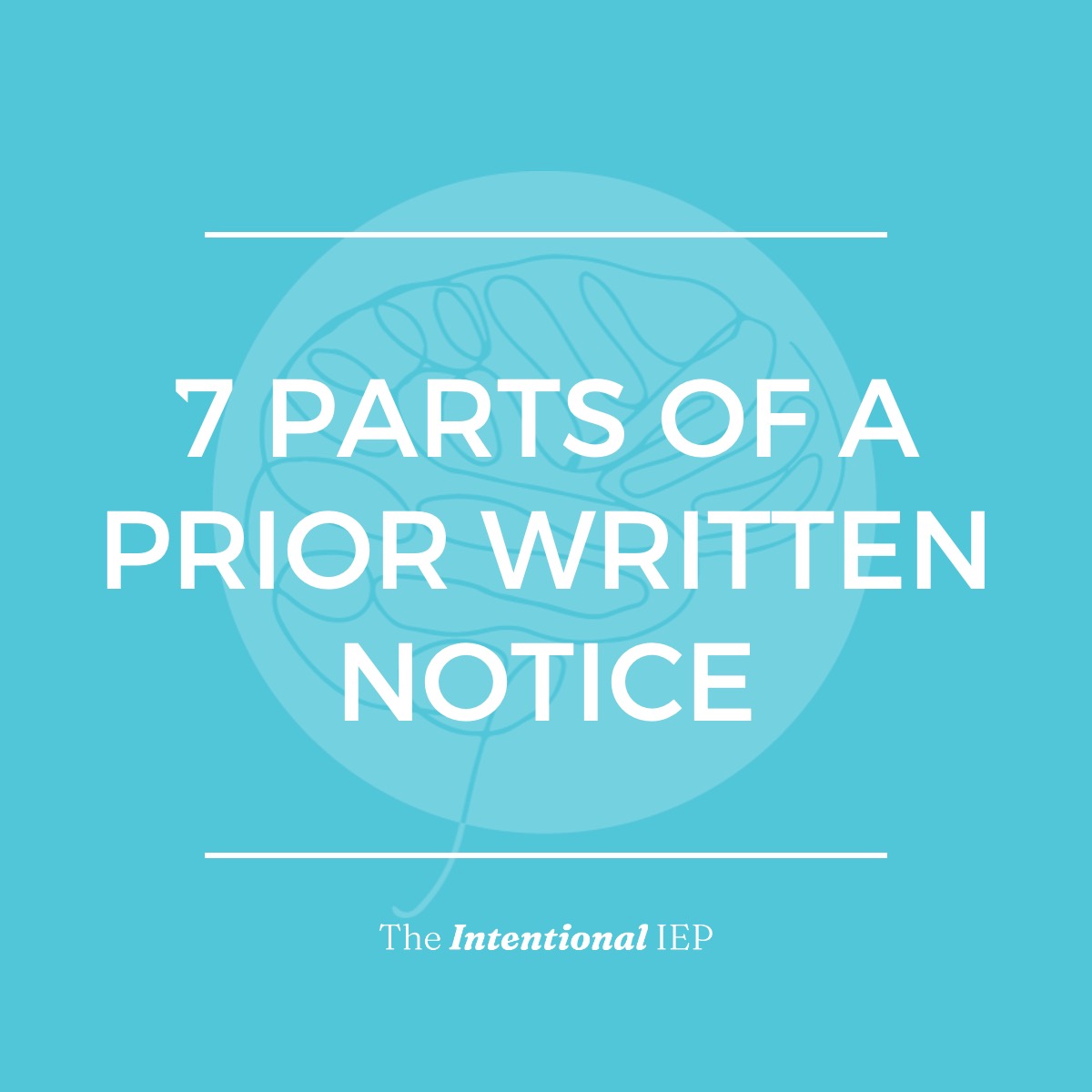 7 Parts of a Prior Written Notice - The Intentional IEP