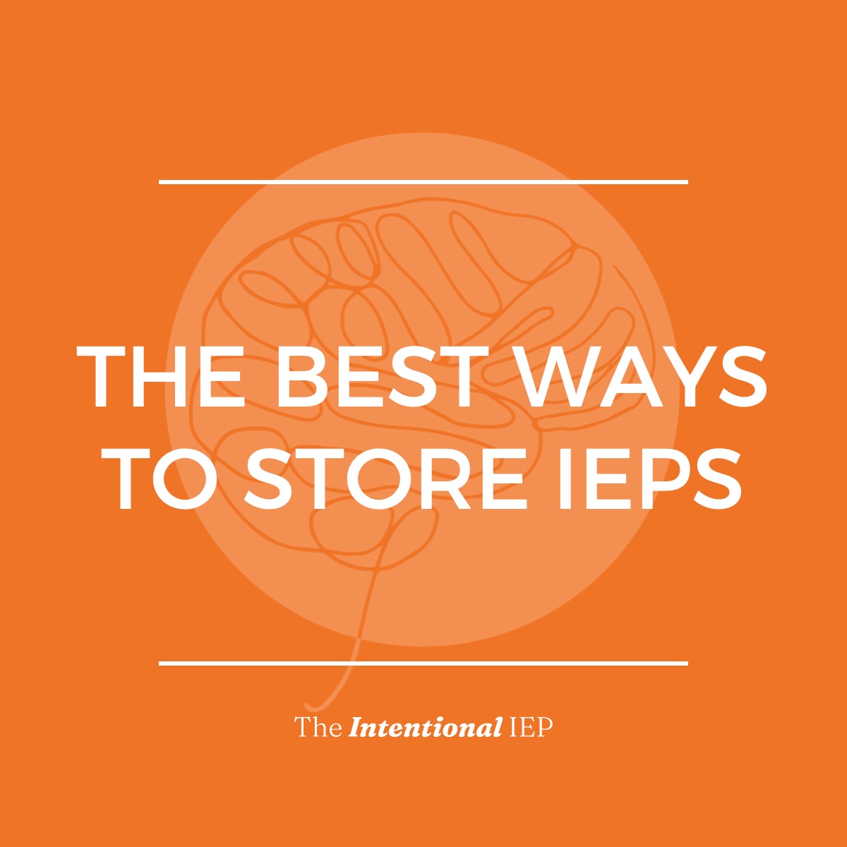 The Best Ways to Store IEPs - The Intentional IEP
