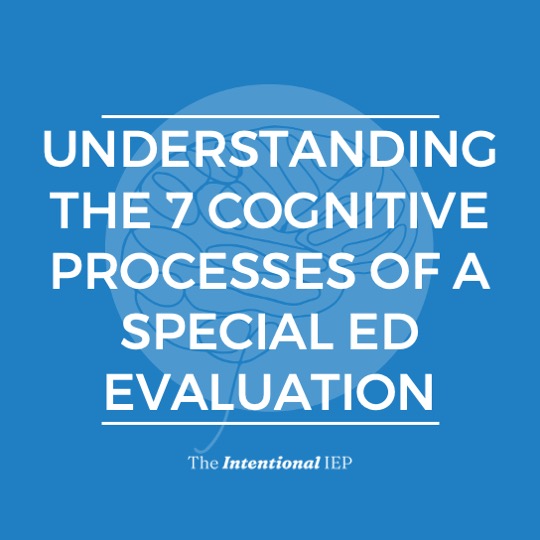 Understanding the 7 Cognitive Processes of a Special Education ...